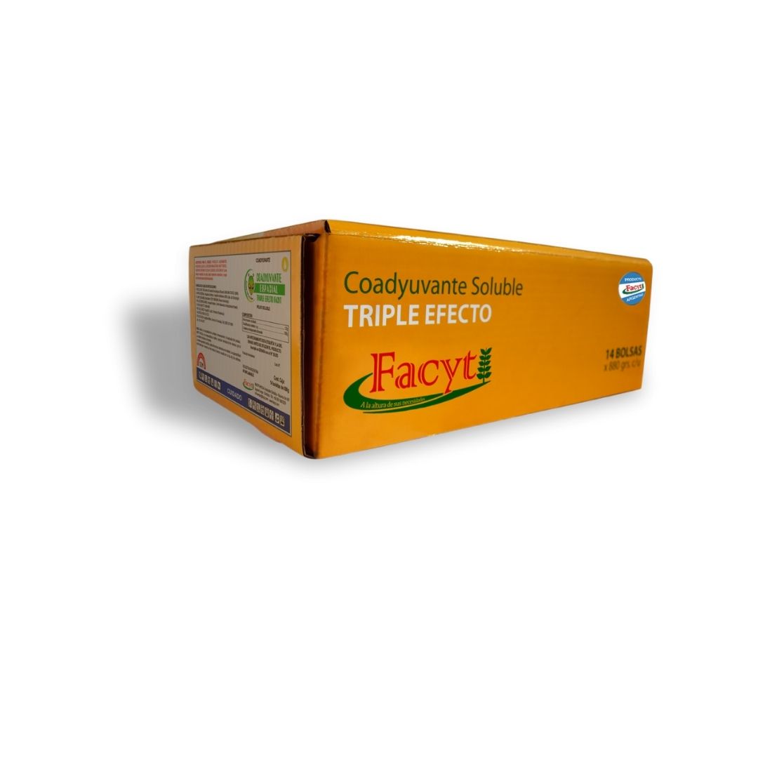 Espacial Triple Efecto Facyt – Miguel Cordini